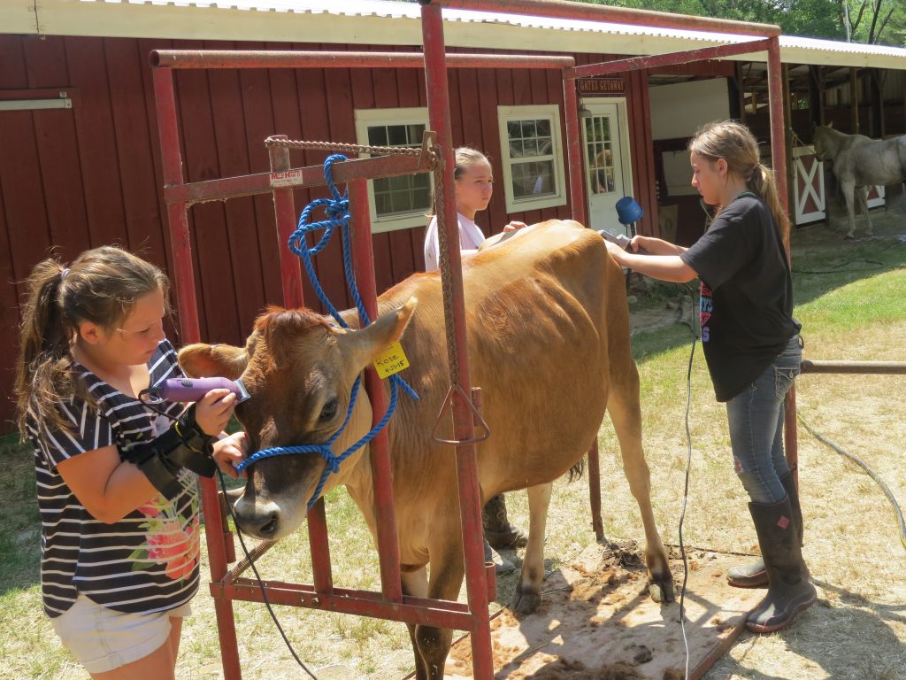 Cow Camp - Windham-Tolland 4-H Camp